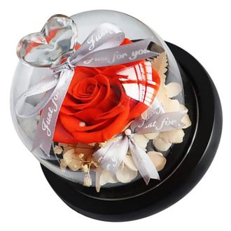 Amosfun Romantische Unsterbliche mit Roter Bl&uuml;te Glasabdeckung und Langlebigem Material Dekoration f&uuml;r Zuhause und Valentinstag Zuf&auml;llige Farbe Zuf&auml;llige Farb