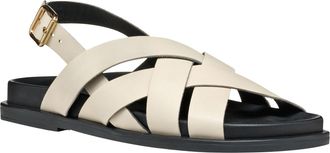 Geox Damen D ADELASH A Slide Sandal, Papyrus, 39 EU