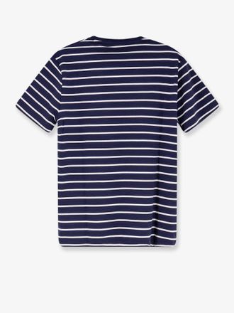 Polo Ralph Lauren Mens Striped Cotton T-Shirt Blue T-Shirts And Polos