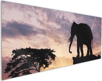 Wallario K&uuml;chenr&uuml;ckwand aus Glas 125 x 50 cm, Motiv: Elefant vor Abendhimmel | Spritzschutz abwischbar & pflegeleicht