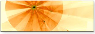 Paul Sinus Art Abstraktes Bild - Fokus orange + zitronengelbe Streifen - Panoramabild auf Leinwand in 120x40cm