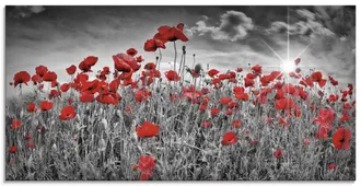 Artland ARTland Wanddeko Glasbilder Wandbild Glas Bild einteilig 100 x 50 cm Pflanzen Blumen Blumenwiese Mohnblume Rot Foto Schwarz Weiß Idyll Sonne S8HV