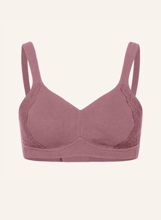 erlich textil Erlich Textil Henriette B&uuml;gelloser Minimizer Bh Gro&szlig;e Cups Starker Halt Aus Bio-Baumwolle - Verstellbare Tr&auml;ger lila