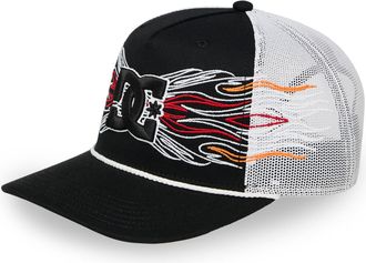 DC Cap DC Shoes Theo EDYHA03185 Grau