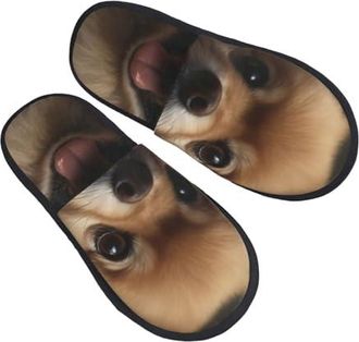 Generic Pantoufles En Coton Poméranien Mignon Anti Odeur Pantoufles Lavables Slippers Pour Voyage Unisex Outdoor M