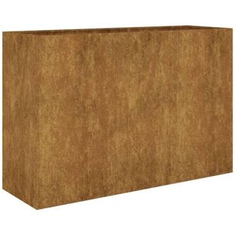 vidaXL Vidaxl - Lit surélevé de jardin 120x40x80 cm acier corten