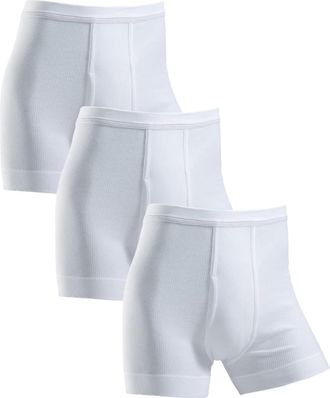 Clipper Trunks