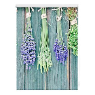 LICHTBLICK Klemmfix Tageslicht-Rollo mit Motiv, ohne Bohren, Blickdicht, Seitenzugrollo, Made in Germany, Kräuter - Petrol 120 x 150 cm (B x L)