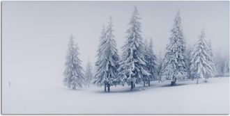 Paul Sinus Art 120x60cm - WANDBILD Winter B&auml;ume Schnee Landschaft - Leinwandbild auf Keilrahmen modern stilvoll - Bilder und Dekoration