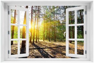 Wallario Poster - Sonnenstrahlen tief hinter dem Wald in Premiumqualität, Größe: 61 x 91,5 cm mit Fenster-Illusion (Maxiposter)