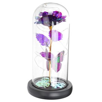 Aboofan Haltbare Rose in Glaskuppel mit LED Licht Konservierte Blume in Violett Langlebige Wohndekoration f&uuml;r Muttertag Schreibtisch und Romantische Anl&auml;sse