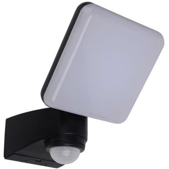 N&auml;ve Naeve JARO Projecteur LED ext&eacute;rieur anthracite avec d&eacute;tecteur de mouvement PIR 4 000 K IP54