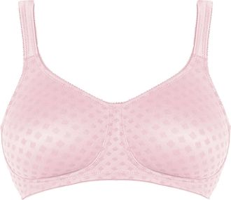 Anita BH Lisa