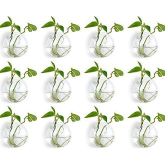 Nuptio 12 Pièces Jardinières en Verre à Suspendre 10cm de Diamètre en Verre Rond Pot - Eau Planter des Vases Air Fleur Vase Plante Terrariums Conteneur de Pl