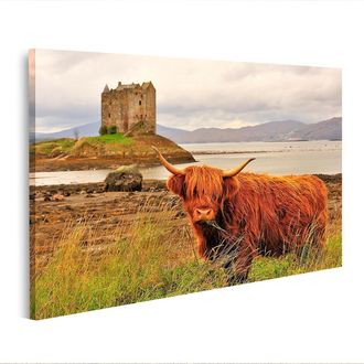 Islandburner Bild auf Leinwand Schottisches Hochlandrind vor Burg am Seeufer Bilder Wandbilder 80x40cm