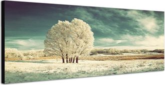 Paul Sinus Art Sinus Art Wandbild 150x50cm Winterlandschaft Wiese Baum Schnee Wolken