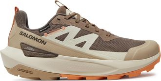 Salomon Sneakers Salomon Elixir Activ Gore-Tex L47456400 Braun