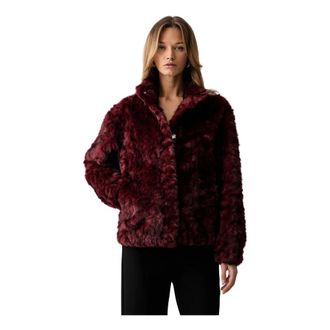 Silvian Heach Veste Courte Kraev - Femme - Vestes - Rouge - Taille: 38 FR