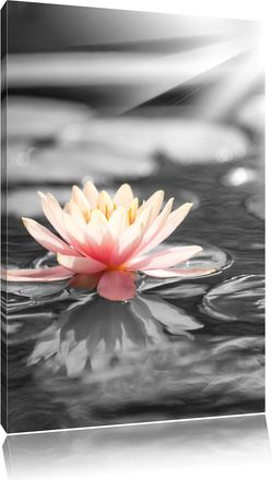 Pixxprint Seerose auf Wasseroberfläche B&W, Größe: 100x70cm, Leinwandbild, fertig gespannt, Wandbild, Dekoration, Kunstdruck, kein Poster