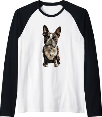 Whyitsme Design Brindle Boston Terrier Hund Illustration Raglan