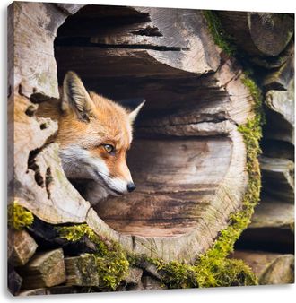 Pixxprint Fuchs im Baumstamm, Größe: 60x60, Leinwandbild Quadratisch, Wandbild, Kunstdruck, fertig bespannt