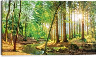 Reinders Wandbild, Sonnenschein im Wald, Hobbyraum, MDF, 70 x 118