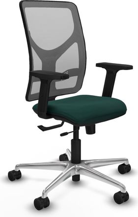 Piqueras y Crespo B&uuml;rostuhl mit 2D-Armlehnen, h&ouml;henverstellbare Lendenwirbelst&uuml;tze, ausgestattet mit Syncro/Translack und Schneideschaum, Grau/Flaschengr&uuml;n