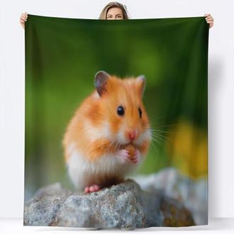 Generic Couverture Polaire 100x150 cm Hamster Flanelle Plaid Souris, Couverture 1 Personne Enfant, Plaid Doux et Chaud pour Jet&eacute; de Canap&eacute; et Lit a-1146