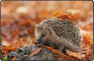 Mnsruu Teppich mit Igel-Motiv, rutschfest, für Wohnzimmer, Schlafzimmer, 50 x 80 cm