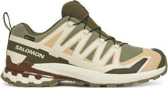 Salomon Trekkingschuhe Xa Pro 3D V9 Gore-Tex L47820200 Grün