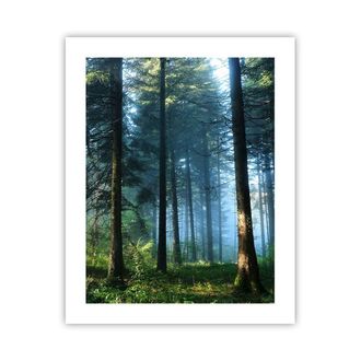 Arttor Poster ohne Rahmen Deko 40x50cm Wald D&auml;mmerung die Sonne Wandposter Art Prints Wanddeko Bild Wand Kunstdruck Wandbilder Dekoration Wohnzimmer Schlafzi