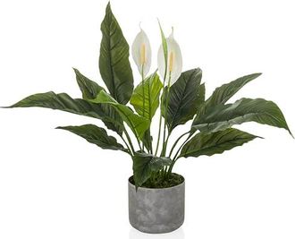 hjh OFFICE Plante Artificielle Spathiphyllum 1 - Plante Artificielle à Feuilles persistantes denviron 60 cm - Très réaliste, Facile dentretien, inodore et décora