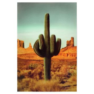 artboxONE Poster 30x20 cm Natur Stechen hochwertiger Design Kunstdruck - Bild Kaktus mittelfinger Moderne Kunst