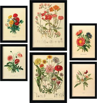 Nacnic 6er-Set Blumensträuße 2 Poster. In Vintage -Drucke. Ästhetische Deko-Drucke für Ihr Wohnzimmer, Schlafzimmer, Zuhause Größen A4 und A3