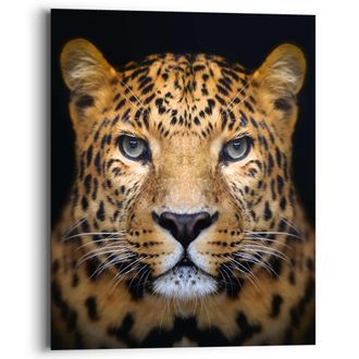 Reinders Wandbild, Leopard, Hobbyraum, Bilder, Wanddeko, Room Decor, MDF, Braun, 50 x 40cm