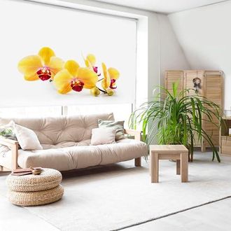 Blindecor Digital | Rollo durchscheinend Bedruckt | Familie Zen| Modell F-YELLOWORCHID | 170 x 180 cm (Breite x Höhe) | Stoffgröße 166 x 175 cm | Fensterrollos