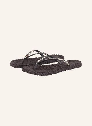 Ilse Jacobsen Ilse Jacobsen Schn&uuml;rschuhe cheerful01p braun