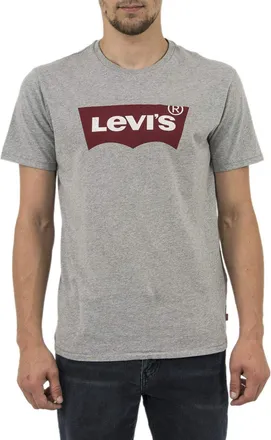 Levi's Herren Graphic Set-In Neck T-Shirt, Batwing Logo, Grey, XXL