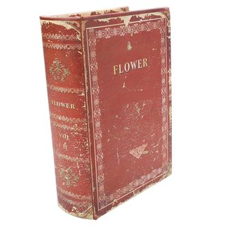 DOITOOL Vintage Buchf&ouml;rmige Holzkiste mit Deckel Retro Aufbewahrungsbox im B&uuml;cher design Dekorative Schmuck Kleinteilebox f&uuml;r Schreibtisch und Wohnraum Antik 