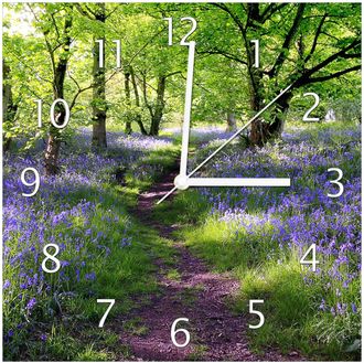 Wallario Design-Wanduhr Blaues Hasengl&ouml;ckchen im Wald aus Glas, Motiv-Uhr Gr&ouml;&szlig;e 30 x 30 cm, wei&szlig;e Zeiger