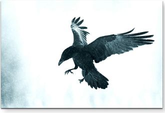 Paul Sinus Art Leinwandbilder | Bilder Leinwand 120x80cm Rabe im Mondlicht