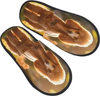 Generic Chiens Caniches Homme Femme Slippers Confortable Chaussons L&eacute;g&egrave;res Pantoufles Pour Ext&eacute;rieur Int&eacute;rieur Automne M