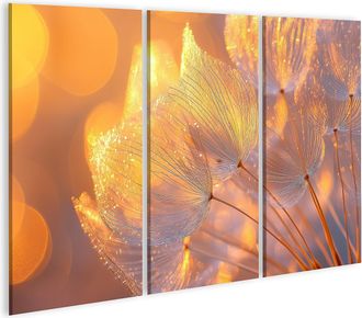 Islandburner Prime Bild auf Leinwand für Naturfreunde, im Wohnzimmer: Goldene Dämmerung mit zerbrechlichen Pusteblumen Bilder Wandbilder Poster