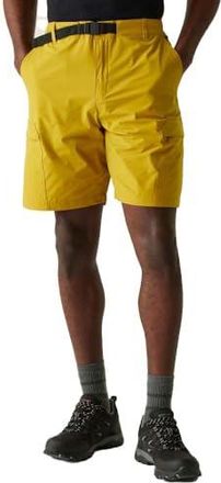 Regatta Short MALLEN - Homme (M) (Moutarde)