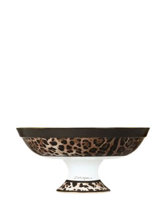 Dolce & Gabbana Obstschale mit Leoparden-Print (30cm) - Braun