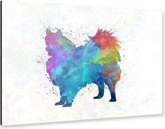 artboxONE Alu-Print 60x40 cm Pomeranian in Watercolor von Künstler Paul Rommer