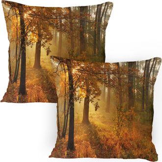 Abakuhaus Fallen Kissenbezug Packung mit 2, Fr&uuml;hen Morgen Tr&uuml;bselig Herbstwald mit Aufgehenden Sonne Landschaft Muster, Dekorativer Standard Gedruckter Kissenbe