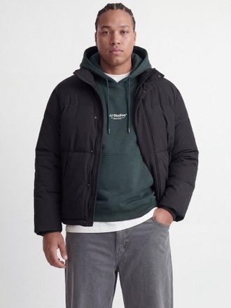 Jack & Jones Plus Size Steppjacke JJESOHO PUFFER COLLAR AW26 SN PLS Kunstfaser, mit verdecktem Rei&szlig;verschluss