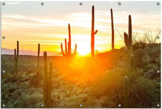 Wallario Outdoor-Poster f&uuml;r Garten oder Balkon Sonnenaufgang in der W&uuml;ste, Motivbanner Gr&ouml;&szlig;e: ca. 120 x 180 cm, Outdoor-Bild