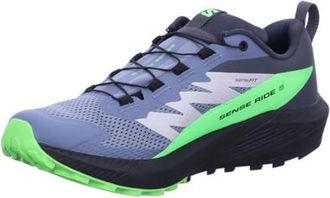 Salomon Sense Ride 5 GTX Flint/B, Chaussures de course pour homme, Flint Stone Black Green Gecko, 42.5 EU
